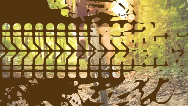 How to Make a Backyard BMX Track - Your Ultimate DIY Guide